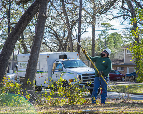 ABC Residential Tree Services