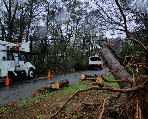 ABC Residential Tree Services