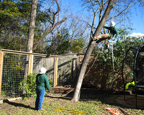 ABC Residential Tree Services